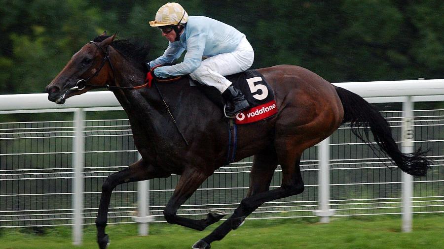 Dan Briden Two-Year-Old Guide: Charlie Clover & Jack Morland