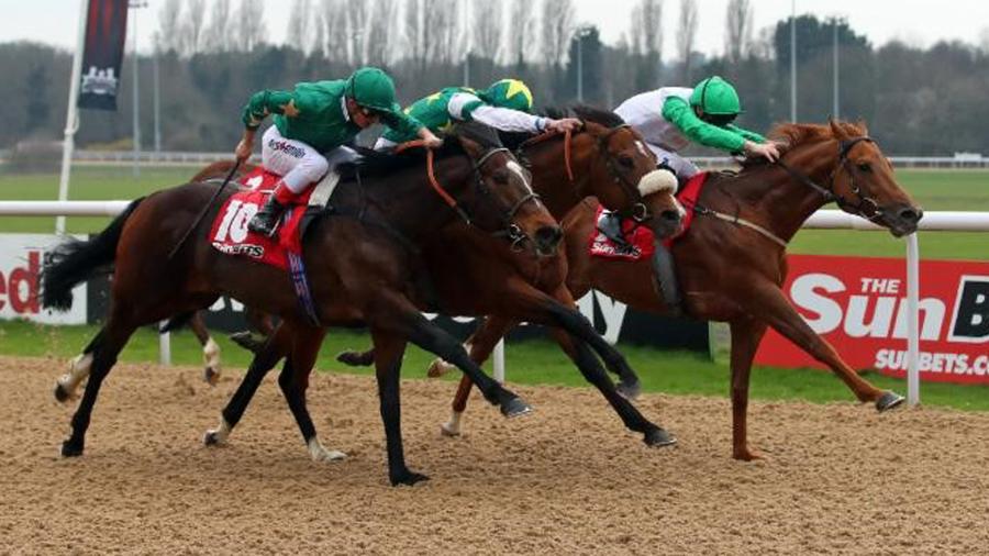 Dan Briden Two-Year-Old Guide: Jamie Insole